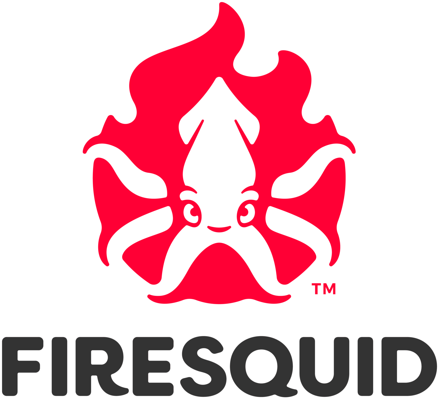 BECOMING SAINT – Firesquid